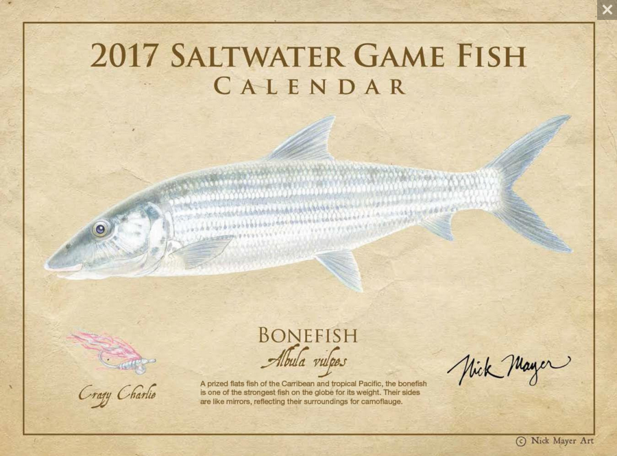 Saltwater Game Fish Art