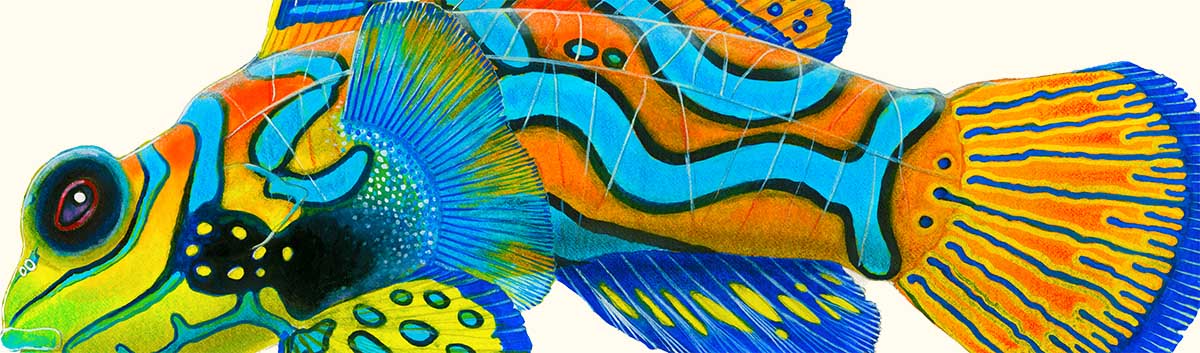 SPRING 2024 Colorburst Collection