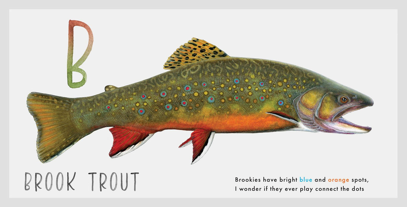 Fish ABCs: Colorful fish for each letter of the alphabet