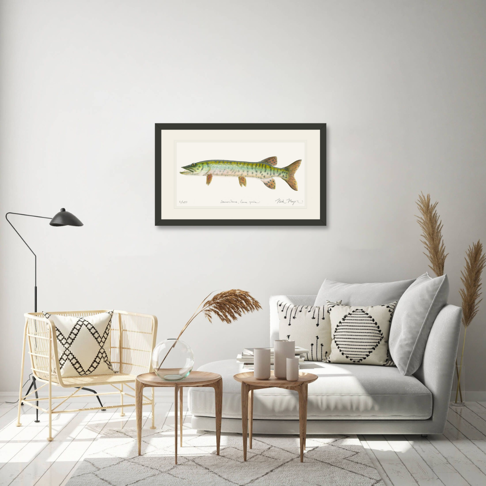 Baby Muskie Print by Award-Winning Artist Nick Mayer