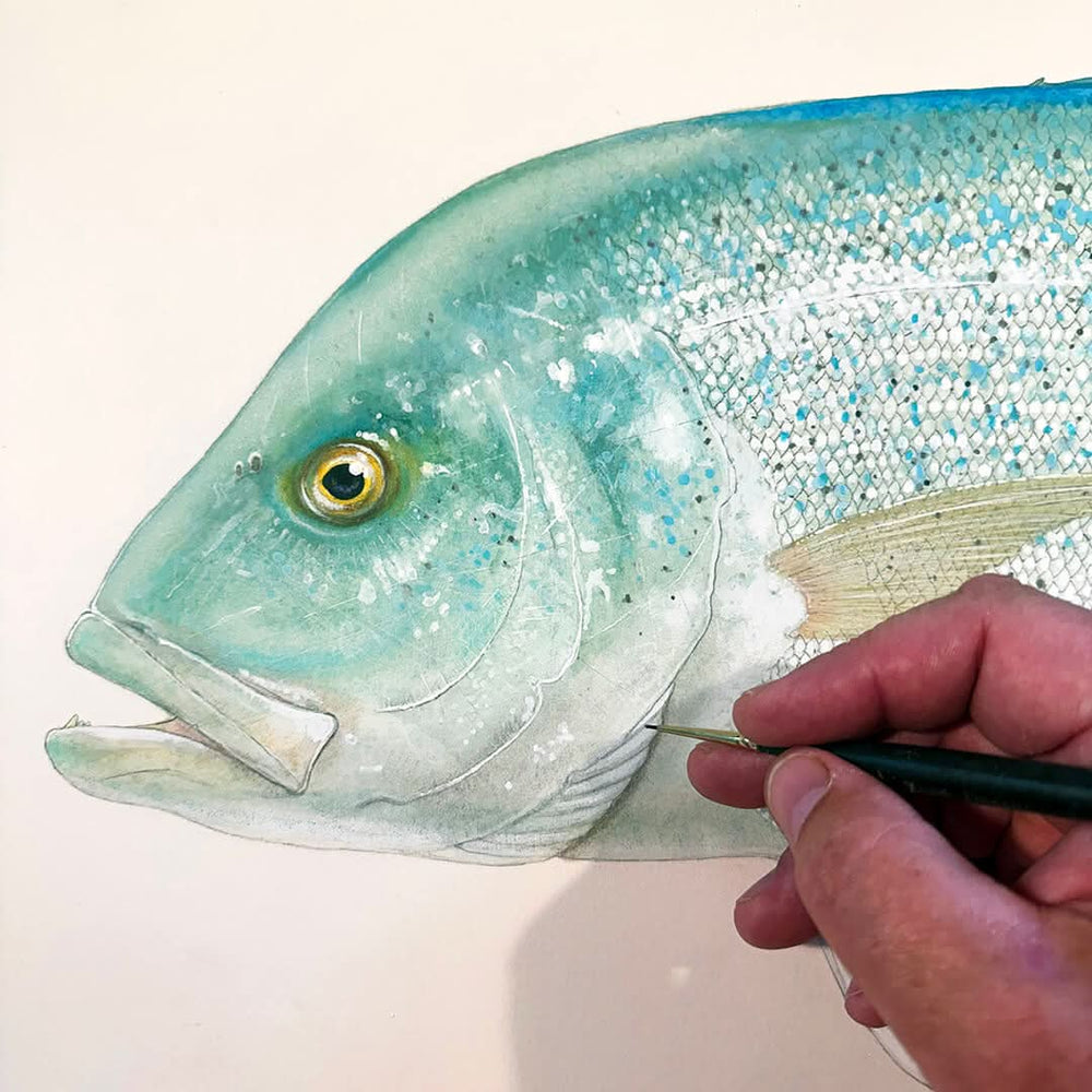 Limited Edition Omilu Print - electric blue fins