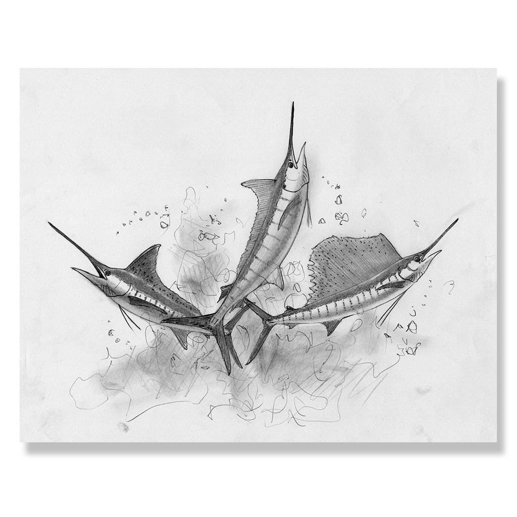 This One-of-a-Kind Original Pencil Drawing of 3 Billfish