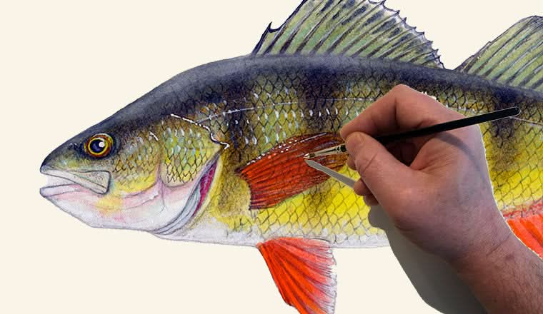 Learn to Paint a Fish Course