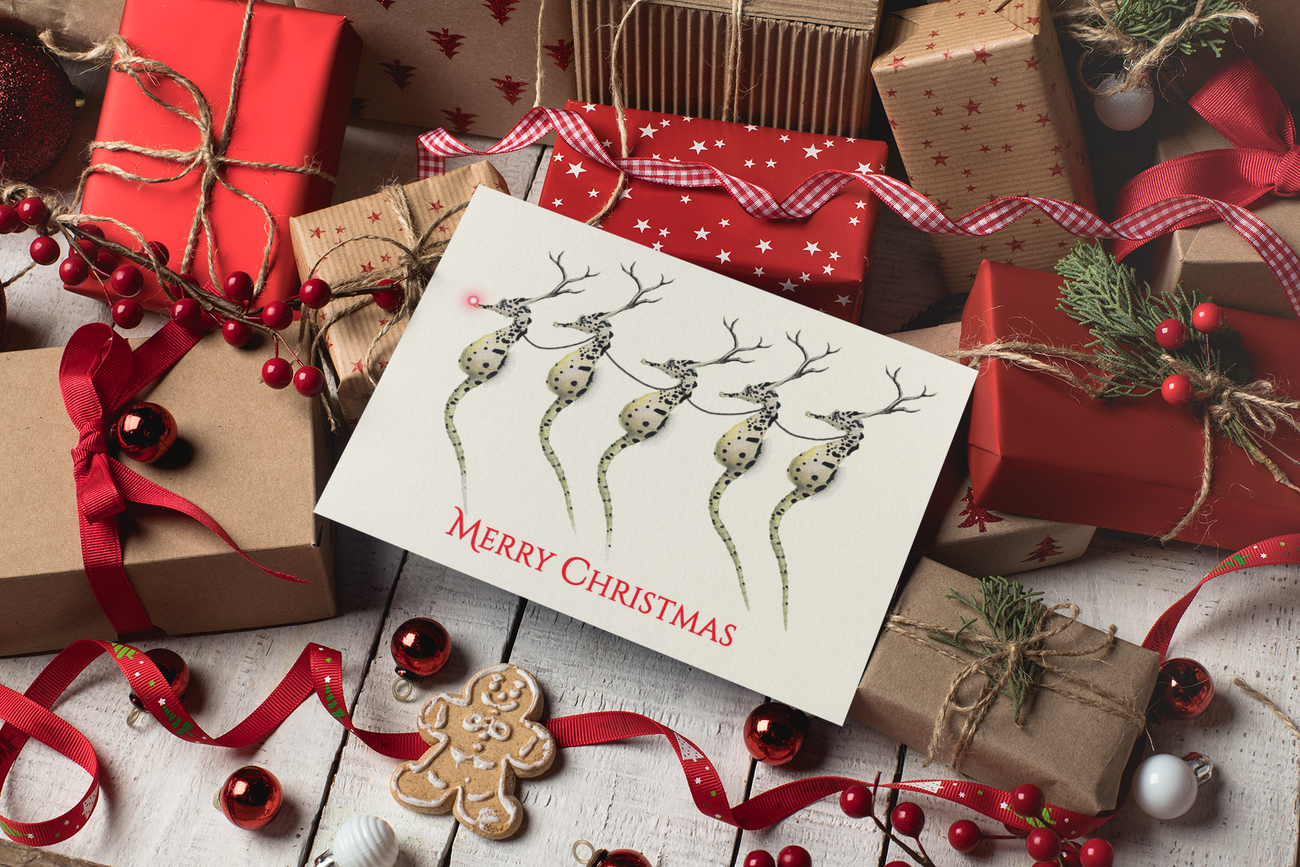 Celebrate the holidays with our Santa's Seahorses Christmas Cards