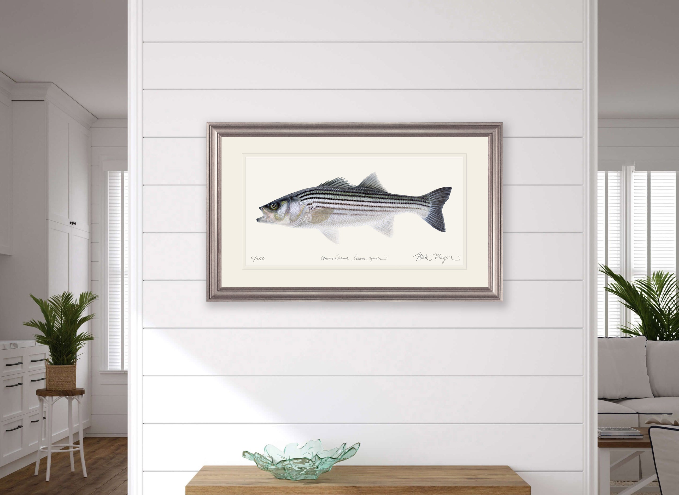 Nick Mayer Art, Fish Art Prints and Nature Illustration Gifts