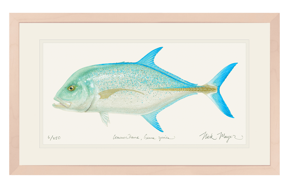Limited Edition Omilu Print - electric blue fins