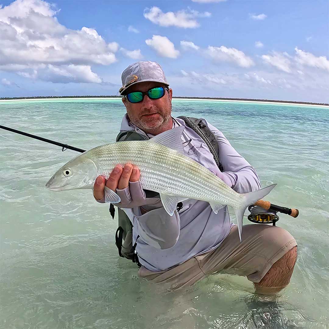 Nick Mayer Art, Fish Art Prints and Nature Illustration Gifts