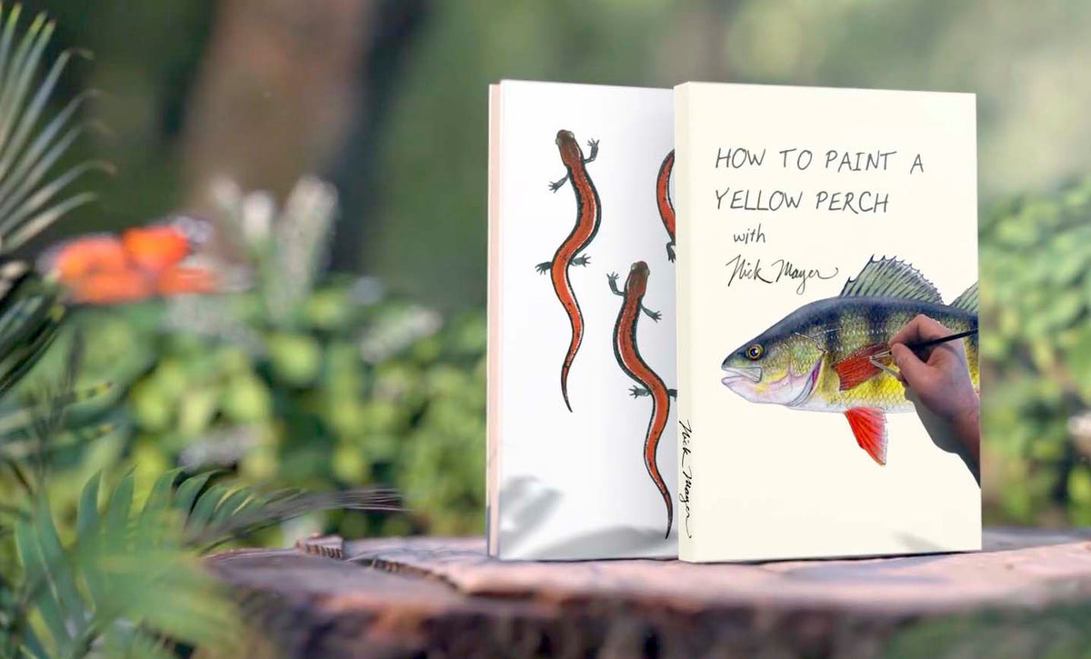 Learn to Paint a Fish Course