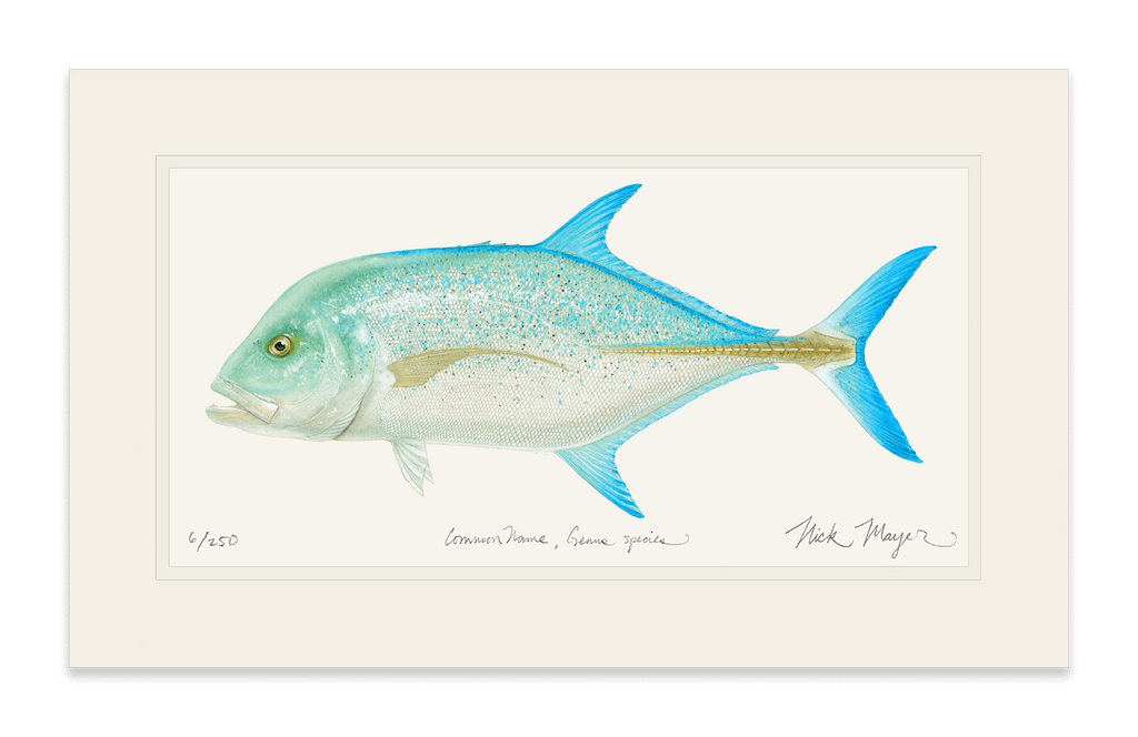 Limited Edition Omilu Print - electric blue fins