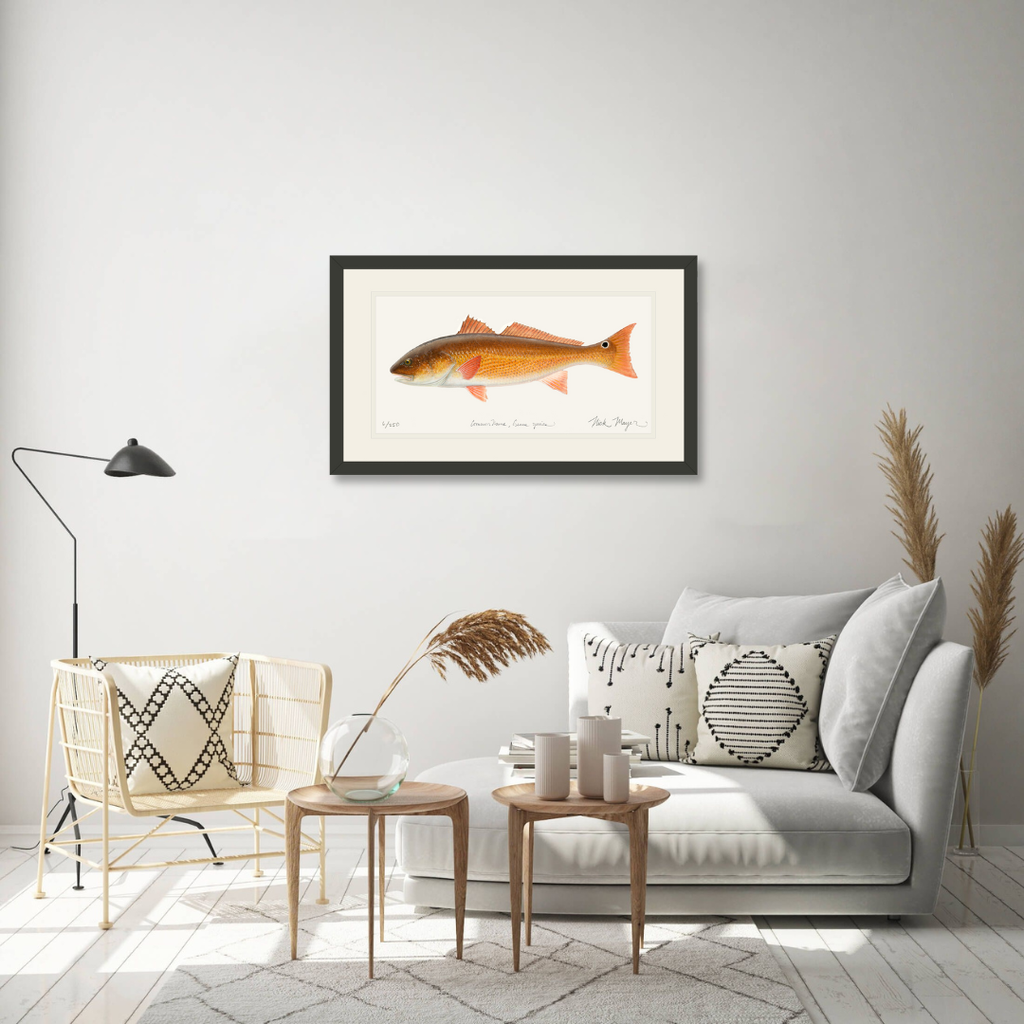 Add a touch of nature to your home with this stunning Redfish art print