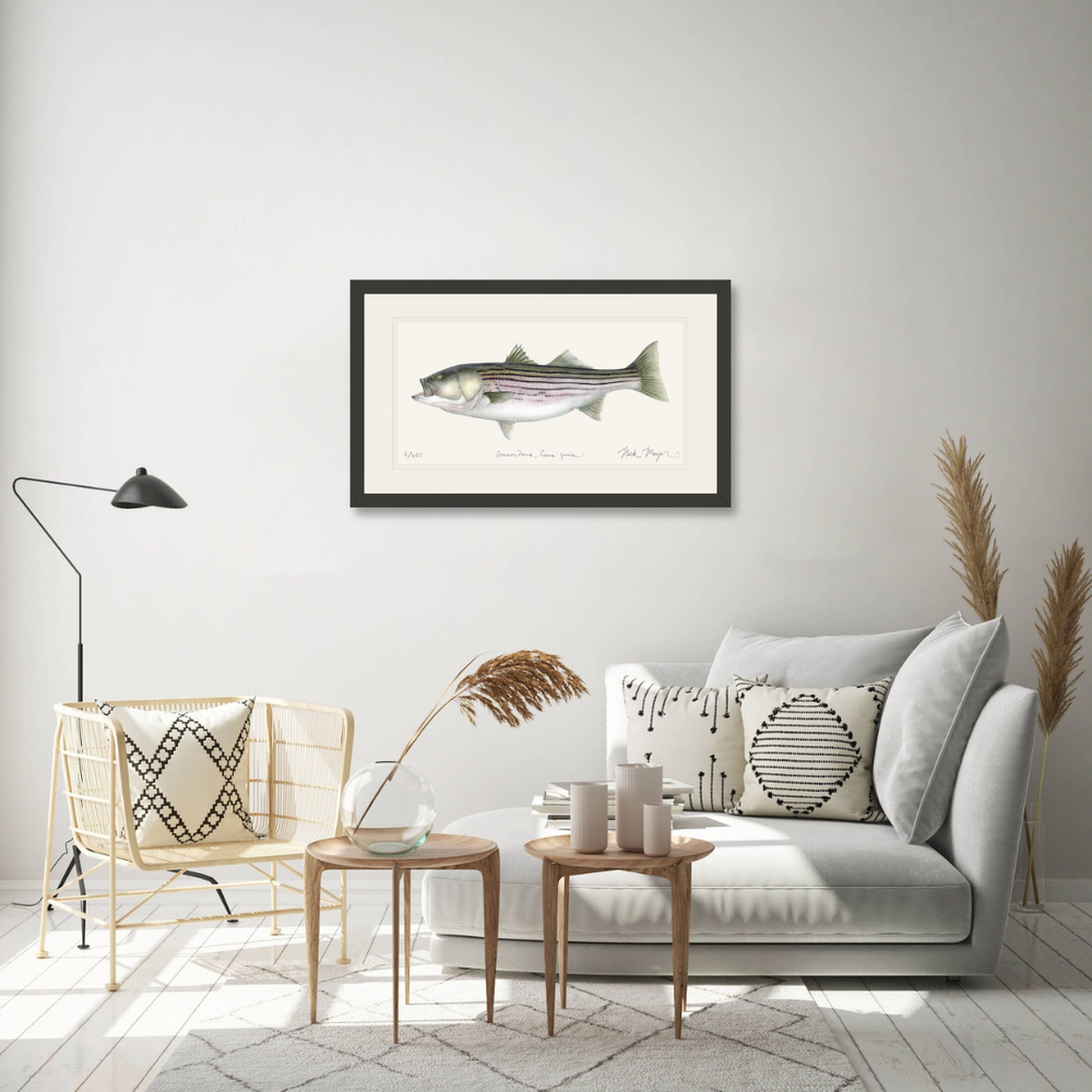 Nick Mayer Art, Fish Art Prints and Nature Illustration Gifts