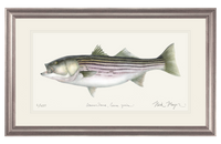 Nick Mayer Art, Fish Art Prints and Nature Illustration Gifts