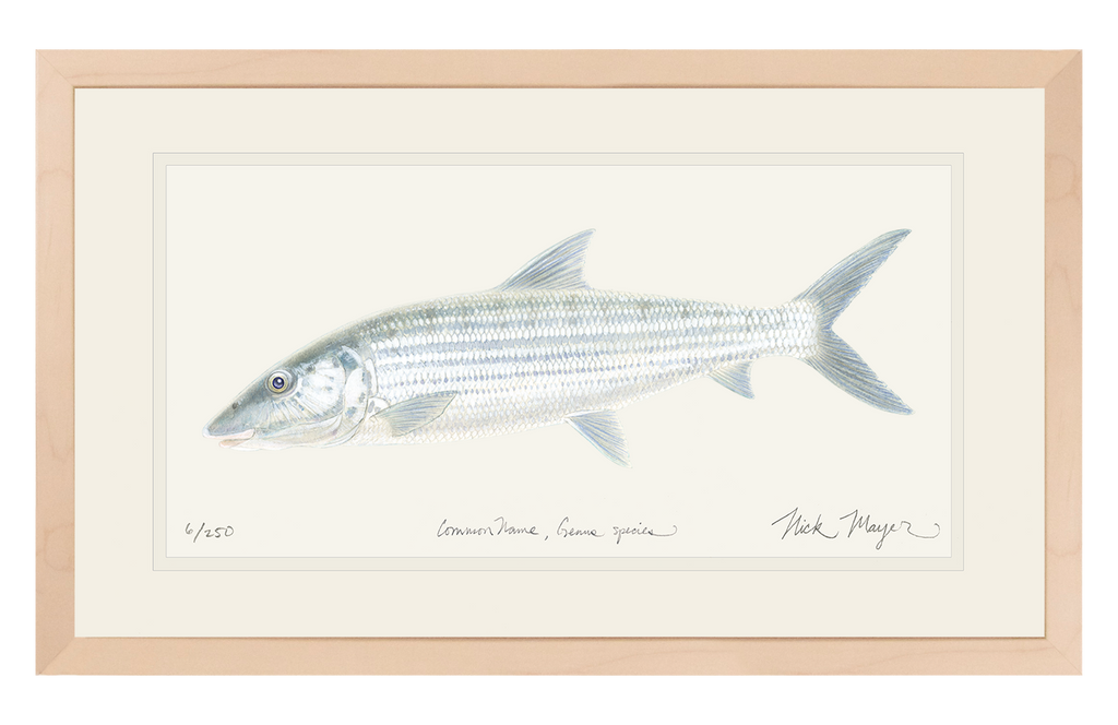Original Bonefish Watercolor Painting