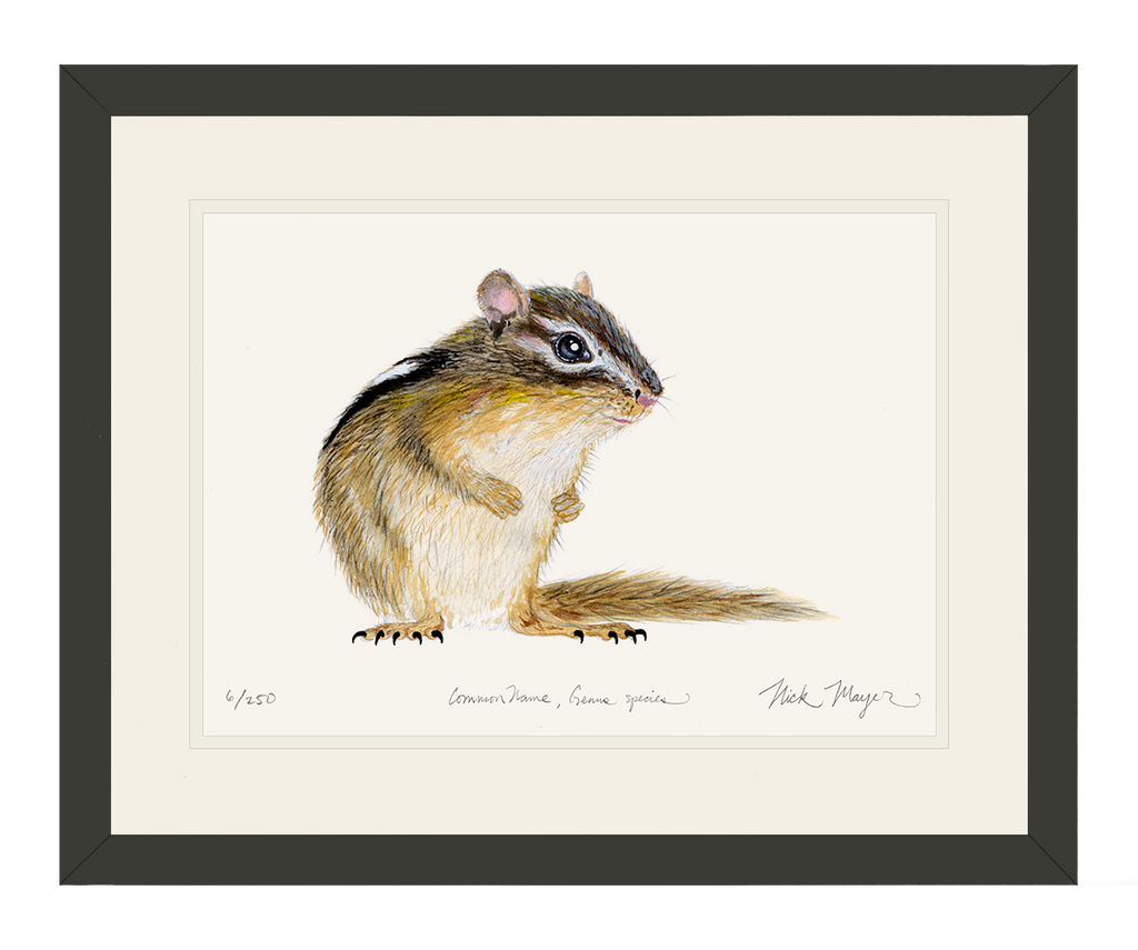 Bring a Touch of Cute to Your Home with a Chipmunk Print