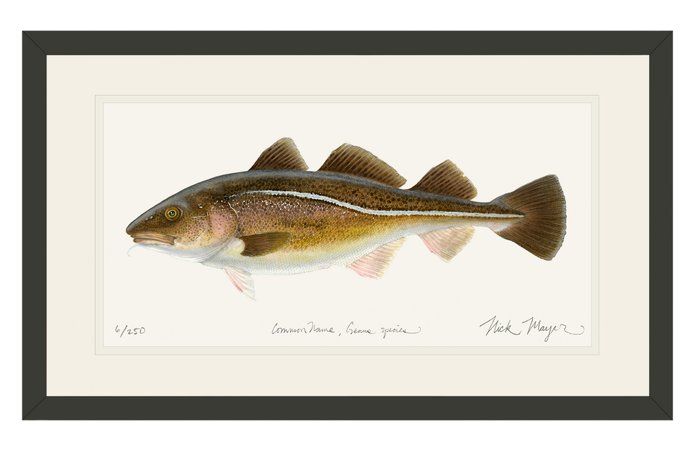 Cod Print: A Stunning Depiction of the Sea's Iconic Symbol