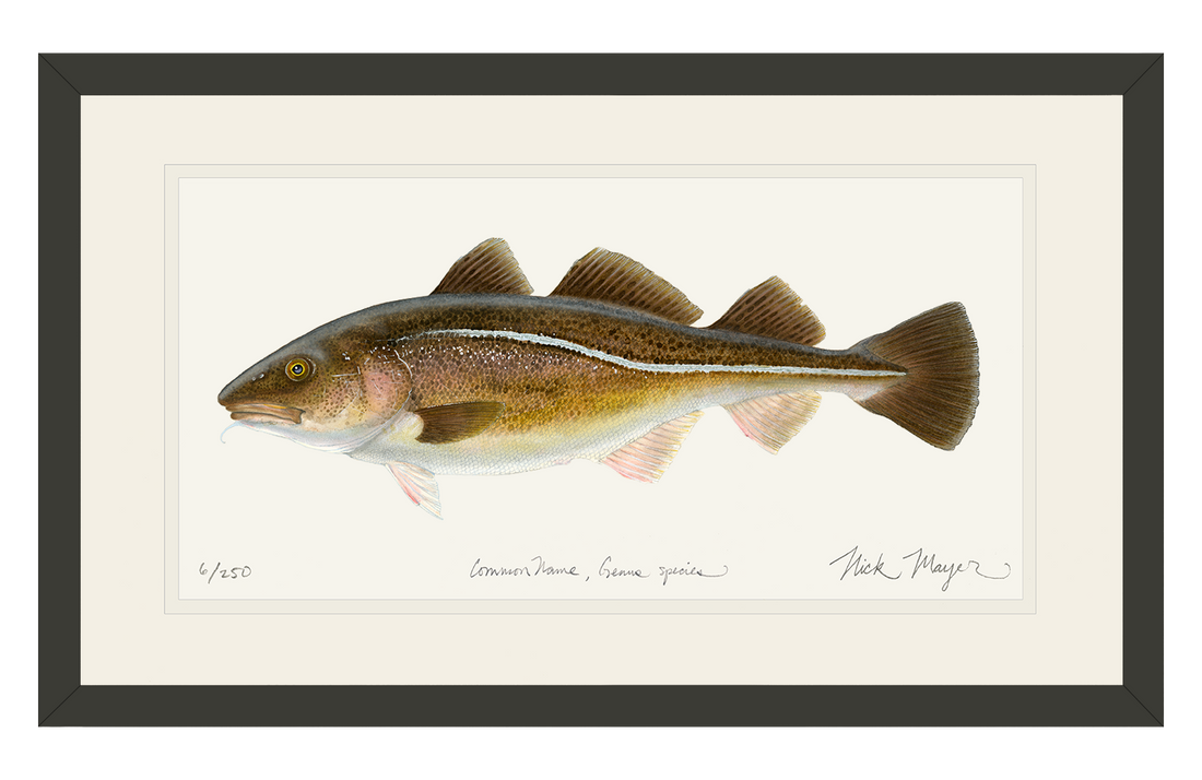 Cod Print: A Stunning Depiction of the Sea's Iconic Symbol