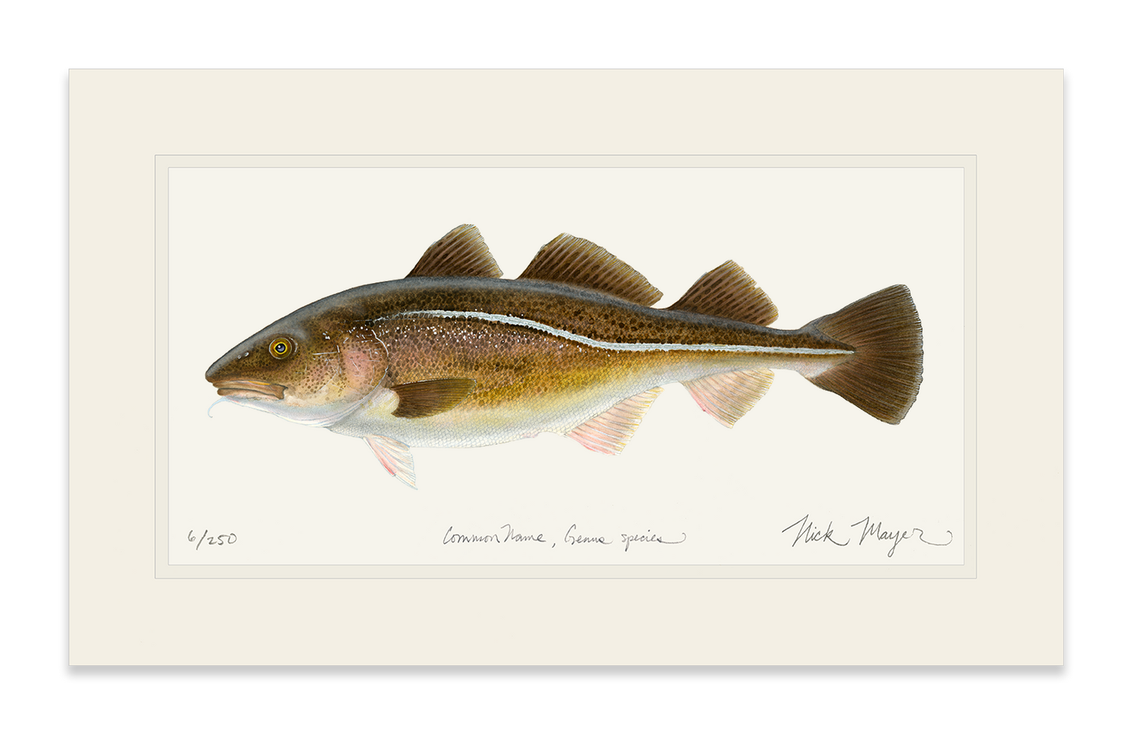 Cod Print: A Stunning Depiction of the Sea's Iconic Symbol