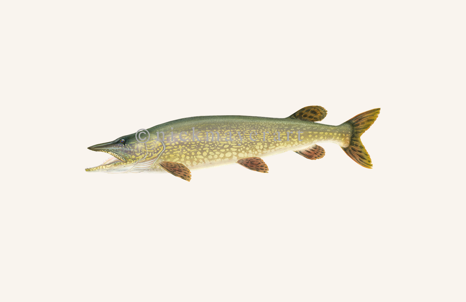 Unleash the fierce beauty of the Northern Pike in your home
