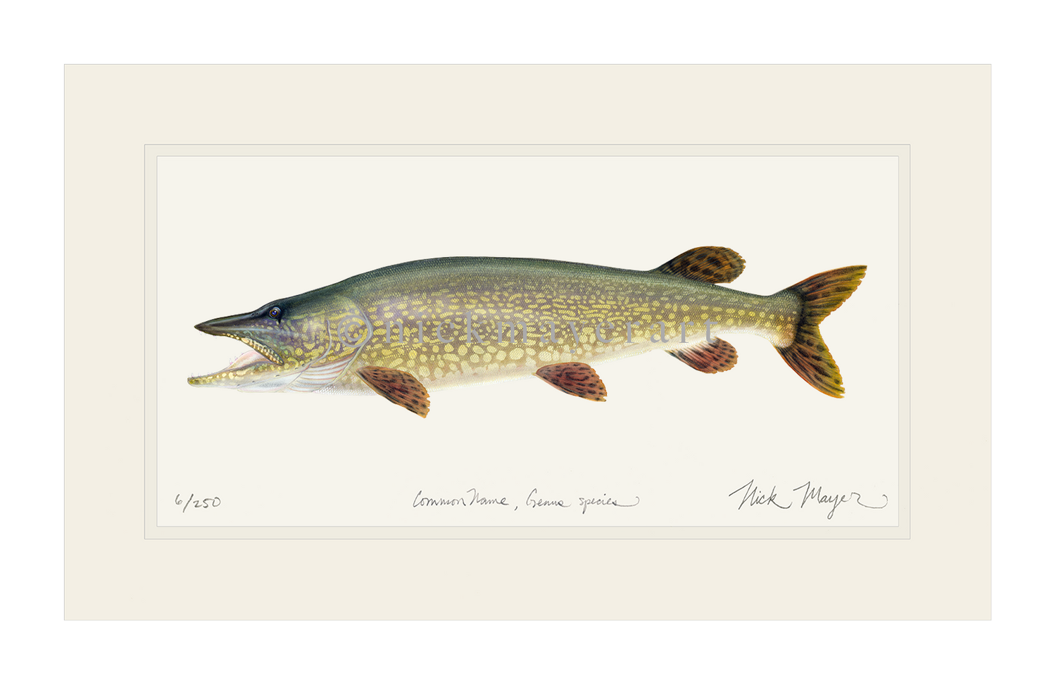 Giant Northern Pike Original Watercolor Painting by Nick