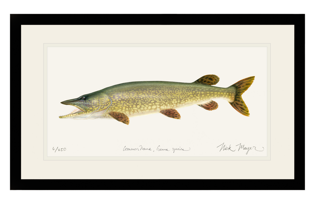 Unleash the fierce beauty of the Northern Pike in your home