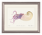 Paper Nautilus Print - Best Seller & Nick's Favorite