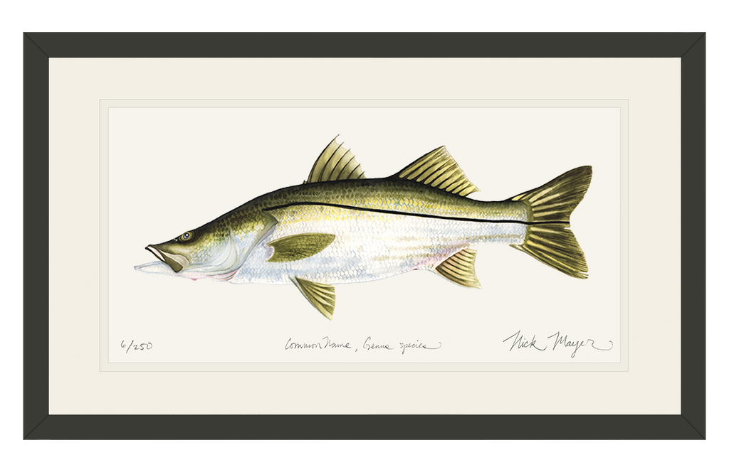 Snook Print - Capture the essence of the tropics