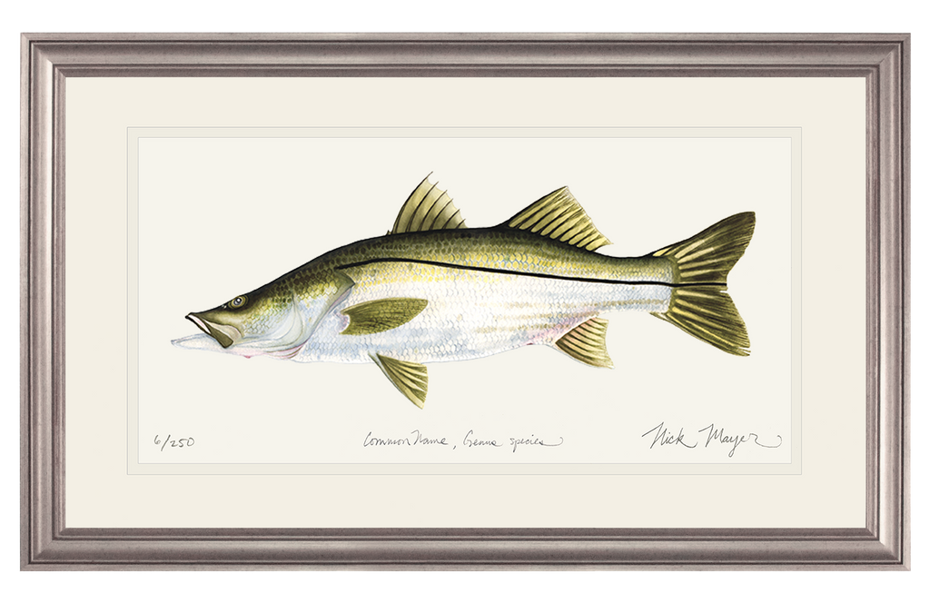 Beautiful Hand-Signed SNOOK Print - Ready to Ship in Silver Wood Frame
