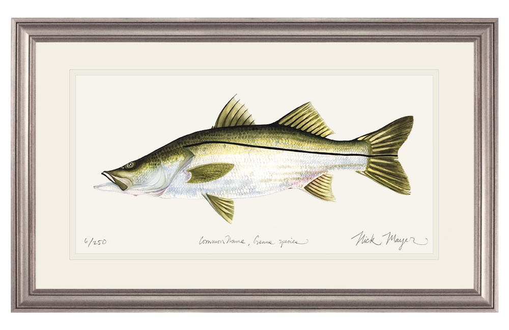 Beautiful Hand-Signed SNOOK Print - Ready to Ship in Silver Wood Frame