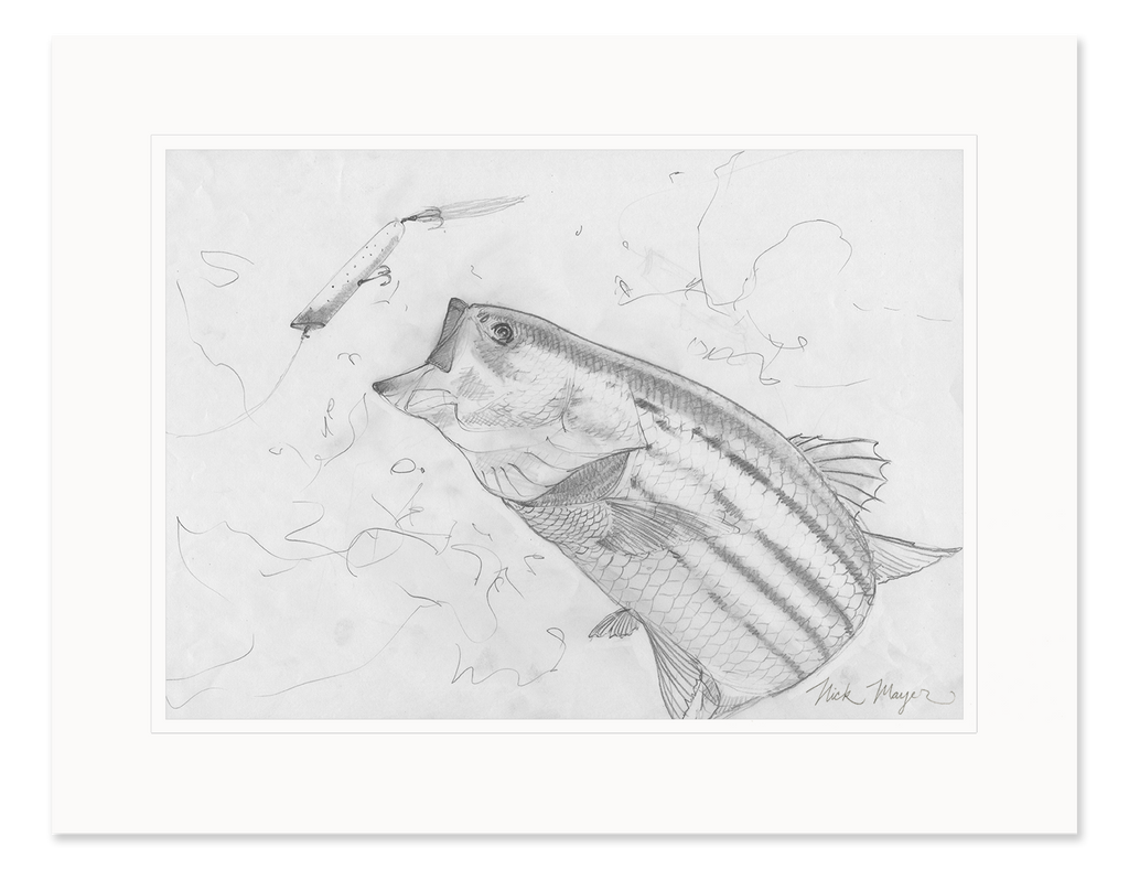 Original Pencil Sketch: Striper & Atom Popper