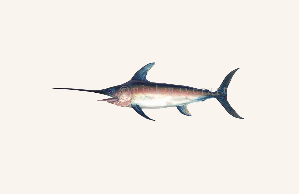 Swordfish Masterwork Canvas: A striking addition to any room