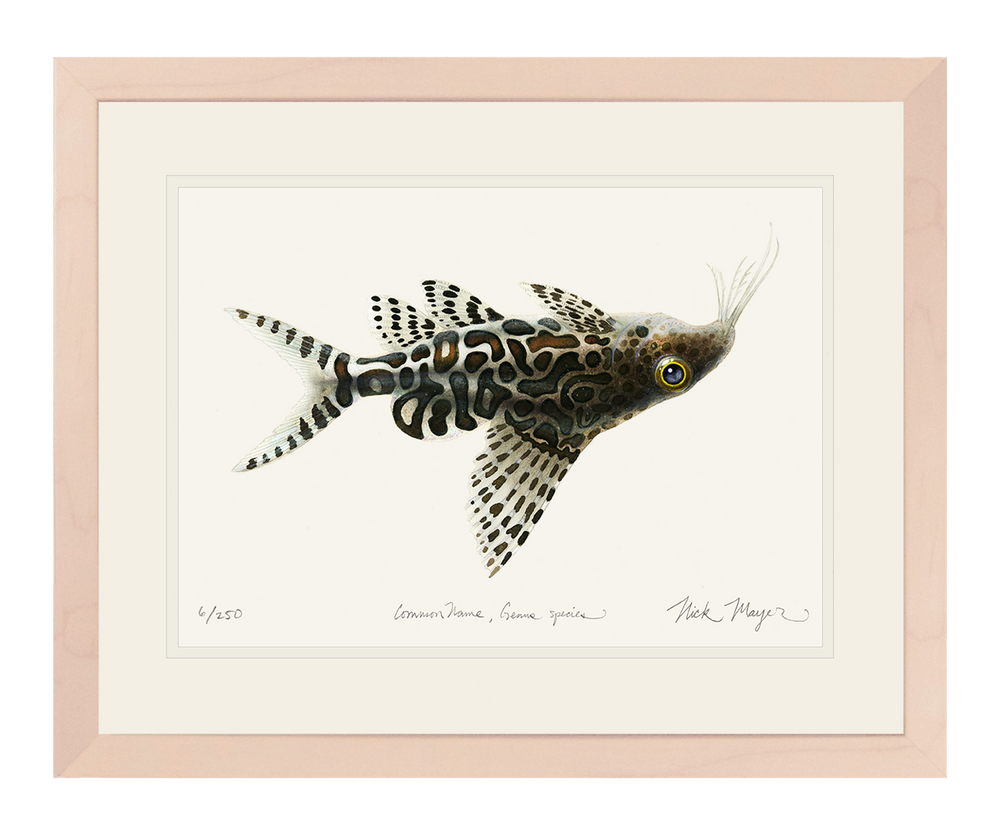 Unusual Catfish Print - Avant Garde Conversation Piece