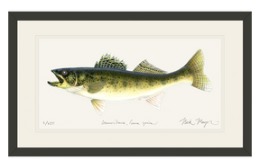 Walleye Print: Show Your Passion for the Sport and Join Us