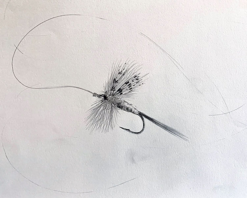 This One-of-a-Kind Original Pencil Drawing of a Dry Fly