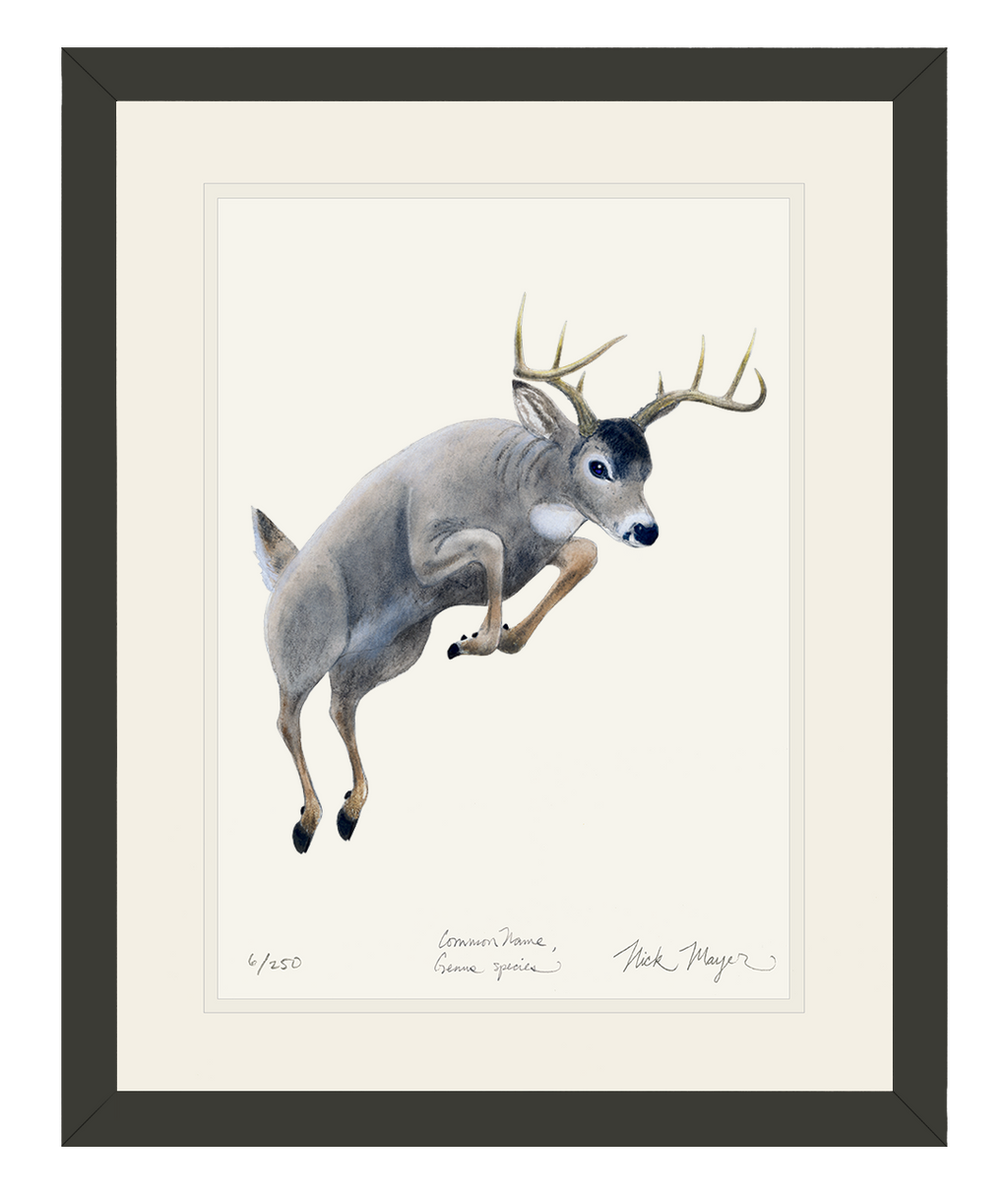 Bring the Beauty of Nature to Your Home with a Whitetail Buck Print
